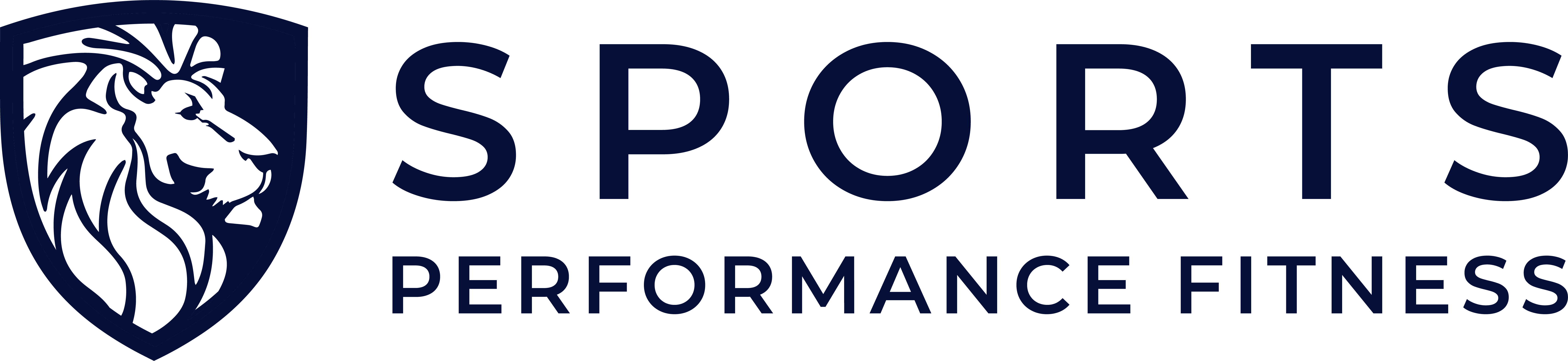 Russian Swings Sports Performance Fitness